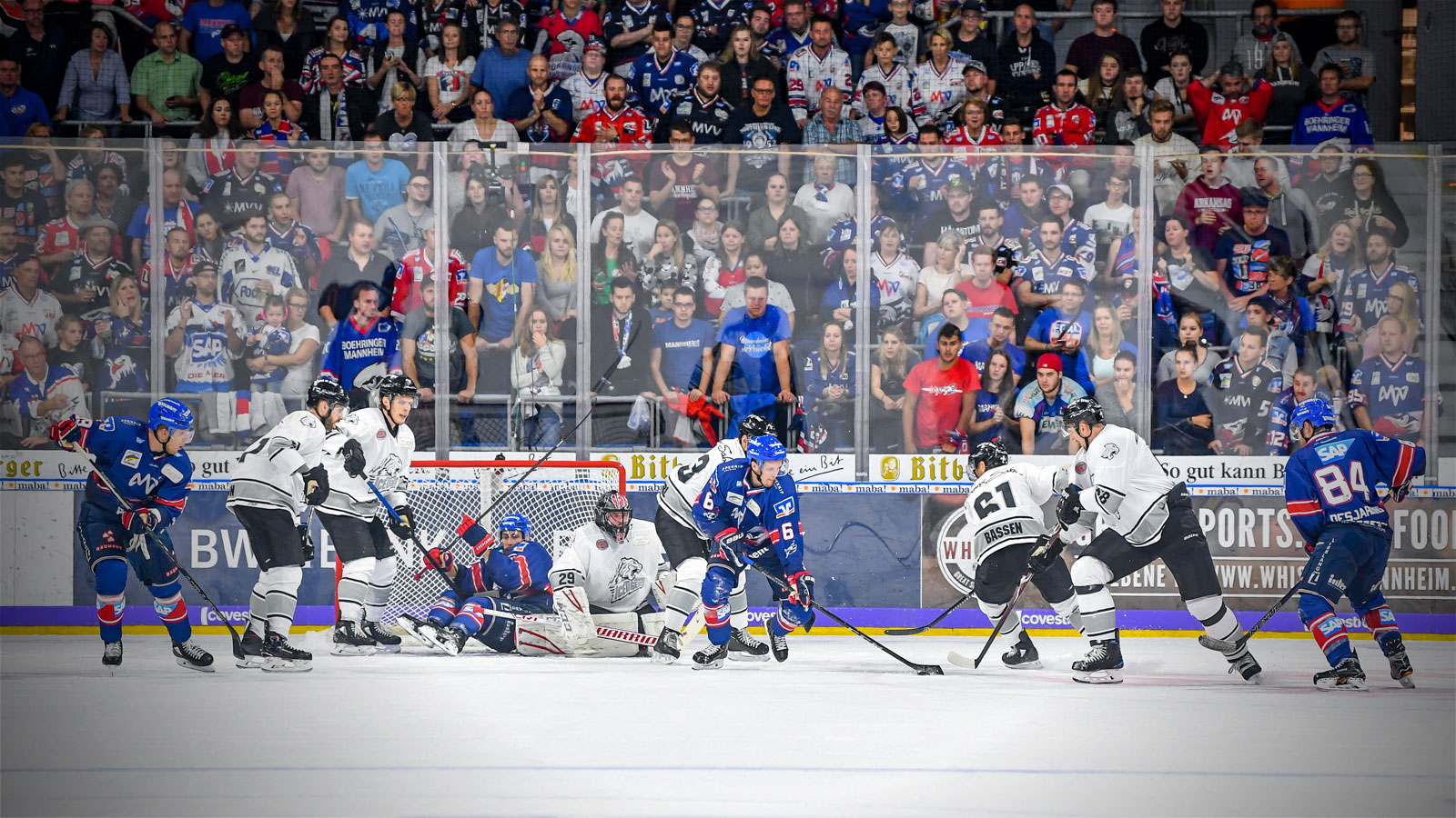 Saison in der Saison » Adler Mannheim