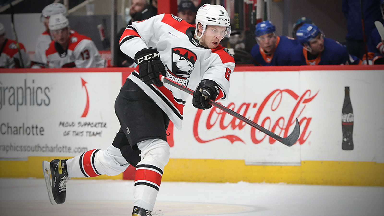 Max Gildon wird ein Adler » Adler Mannheim